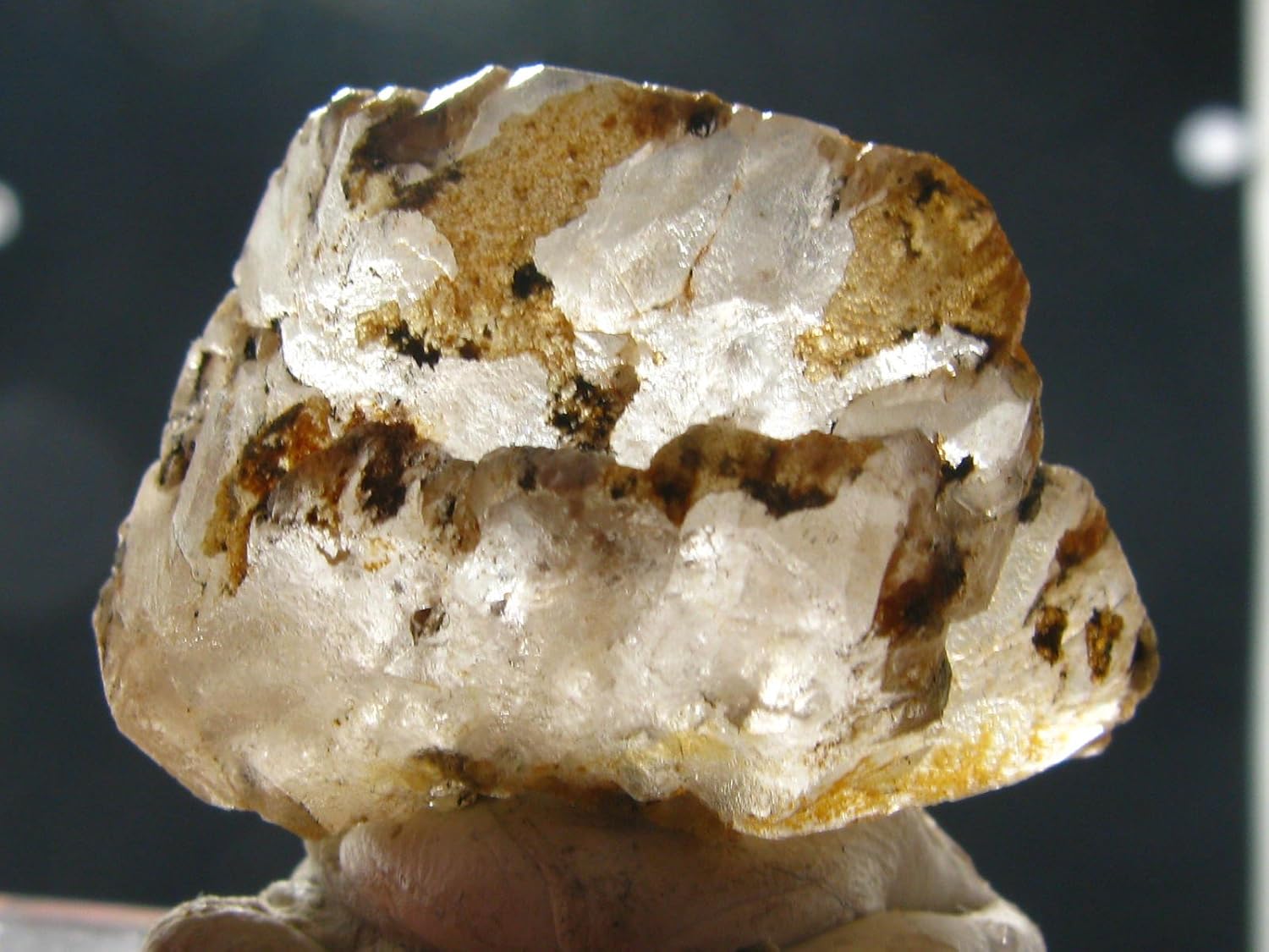 Amazon.com: Gem Beryllonite Berylonite Crystal From Brazil -1.3" : Home ...