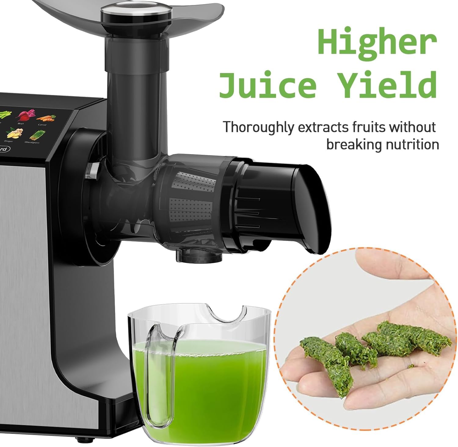 Snapklik.com : Whall Masticating Slow Juicer, Professional Stainless ...