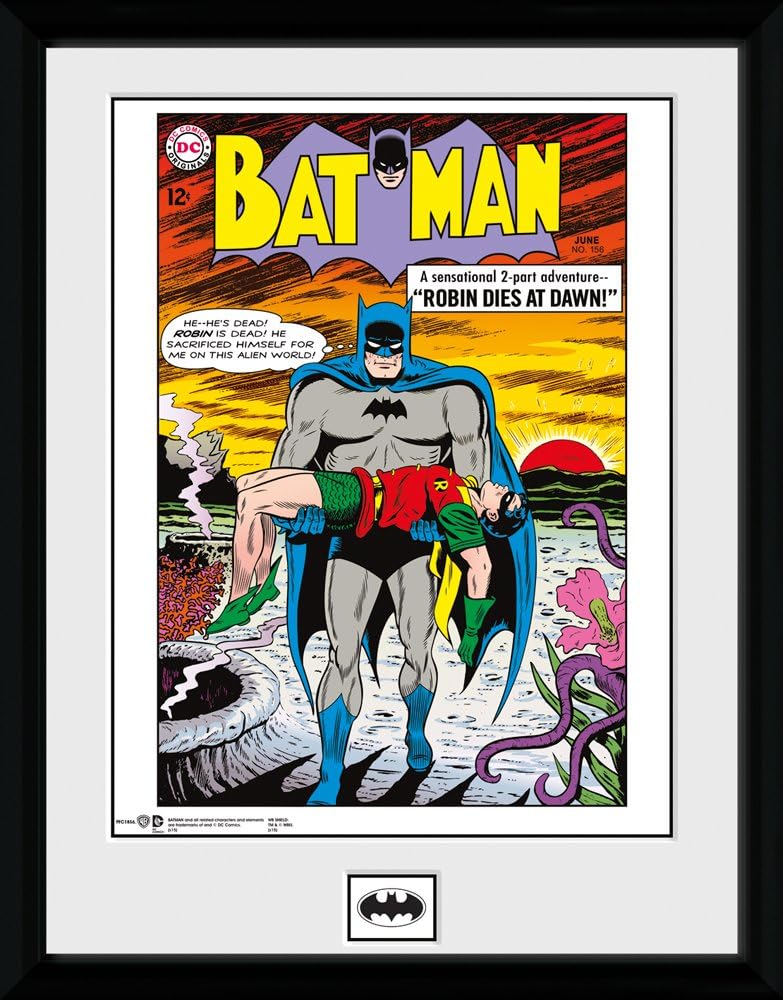Amazon.com: DC Comics PFC1856 Robin Dies at Dawn Batman Comic Collector ...
