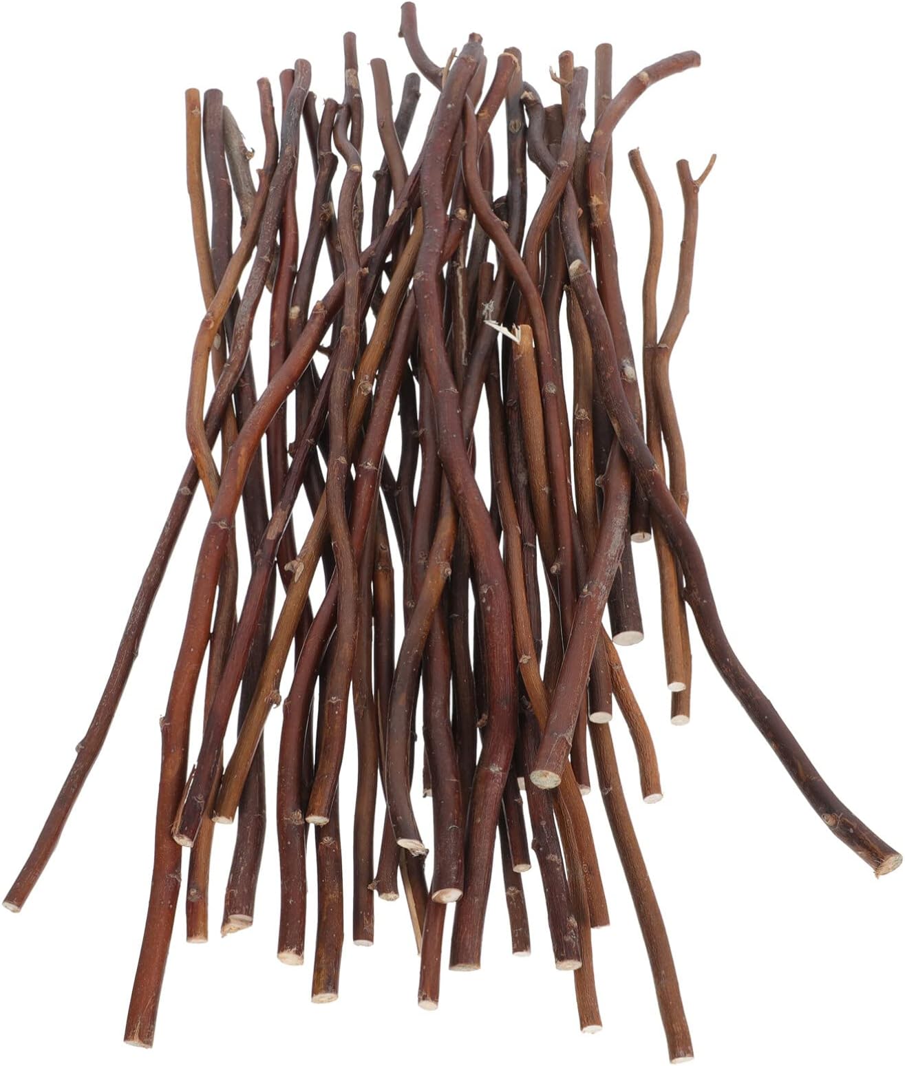 Amazon.com: Amosfun Wood Log Sticks Twig Birch Tree Twigs 40pcs 20cm ...