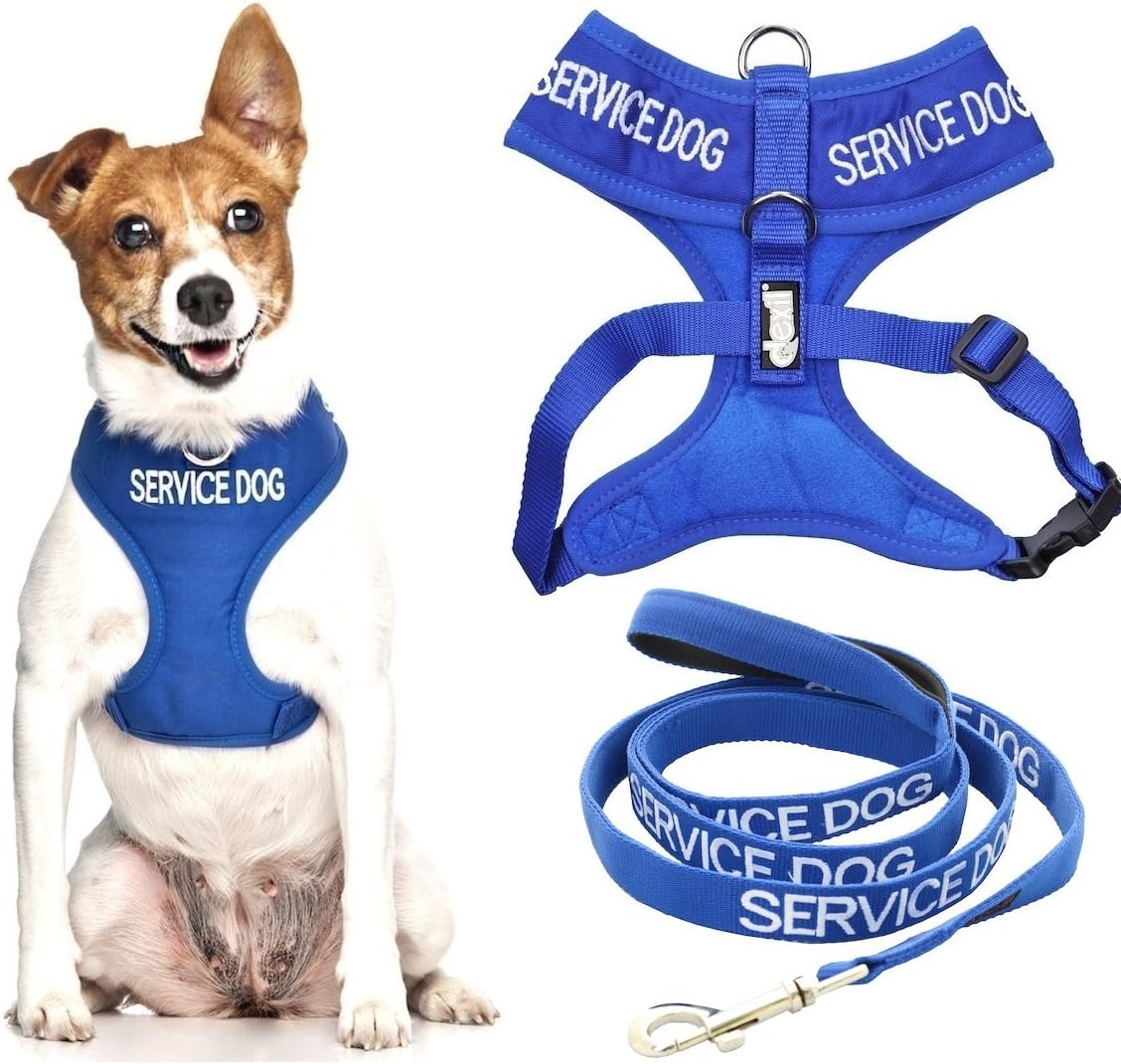 Dexil SERVICE DOG Blue Non-Pull Front and Back D Ring Padded and ...