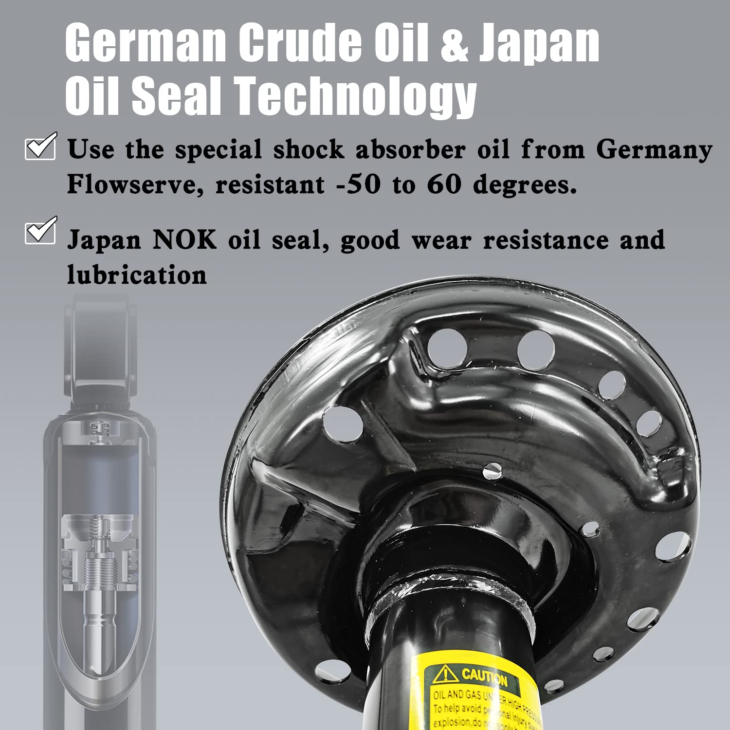 ARSTAK 580-1096 19300063 84677093 Pair Front Shock Struts Absorber with ...