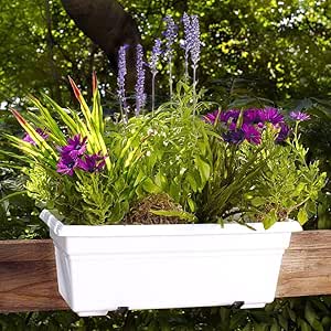 Amazon.com : 30IN. Countryside Window Box - White : Patio, Lawn & Garden
