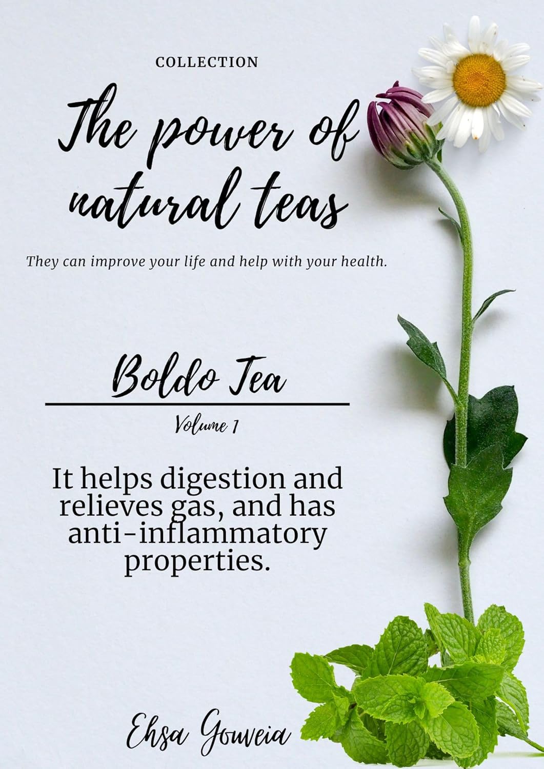 Amazon.com: The power of natural teas: Boldo Tea eBook : Gouveia, Ehsa ...