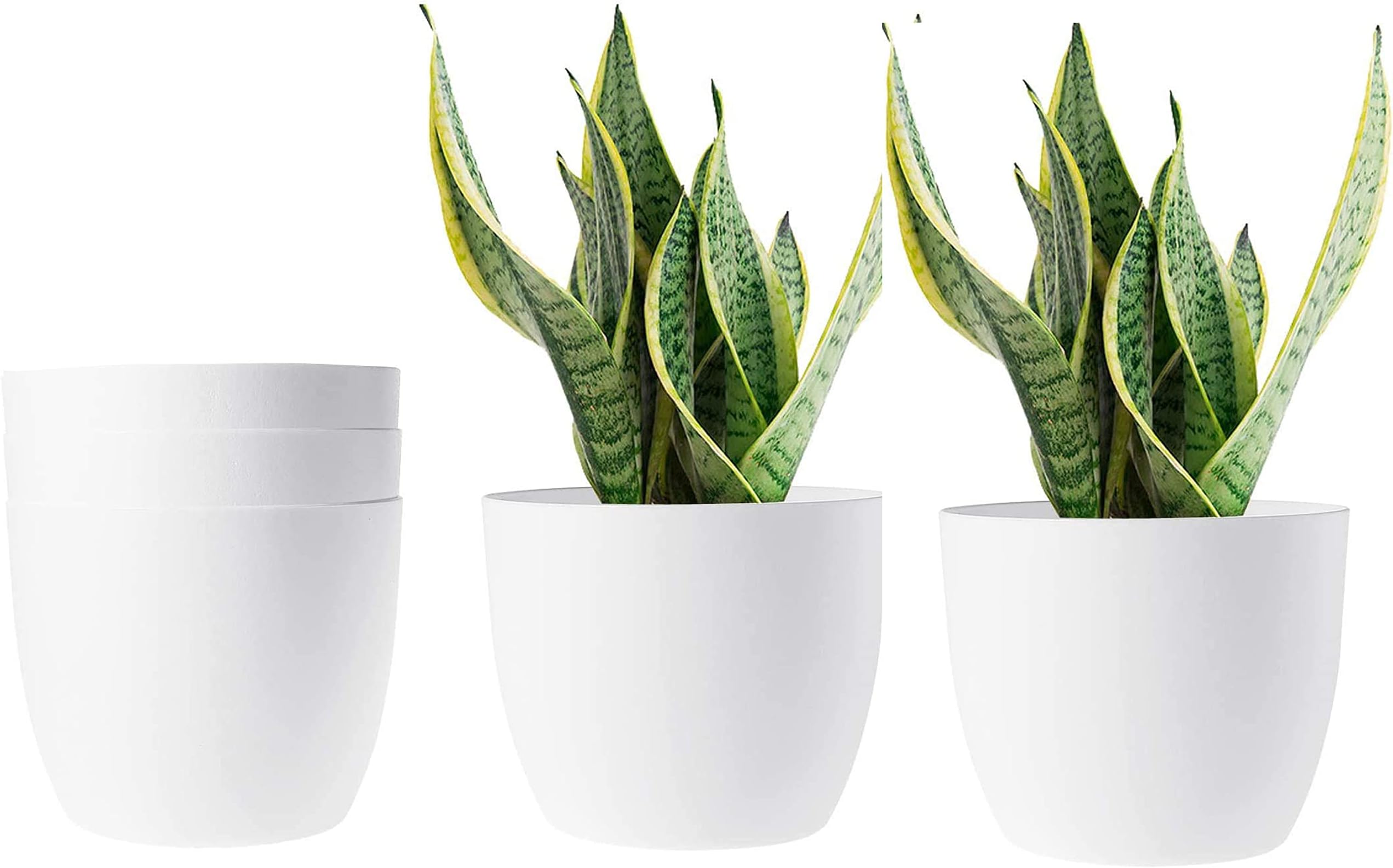 Ashi Greens Small Table Top Flower Pot Planter for Home Decoration 6 ...