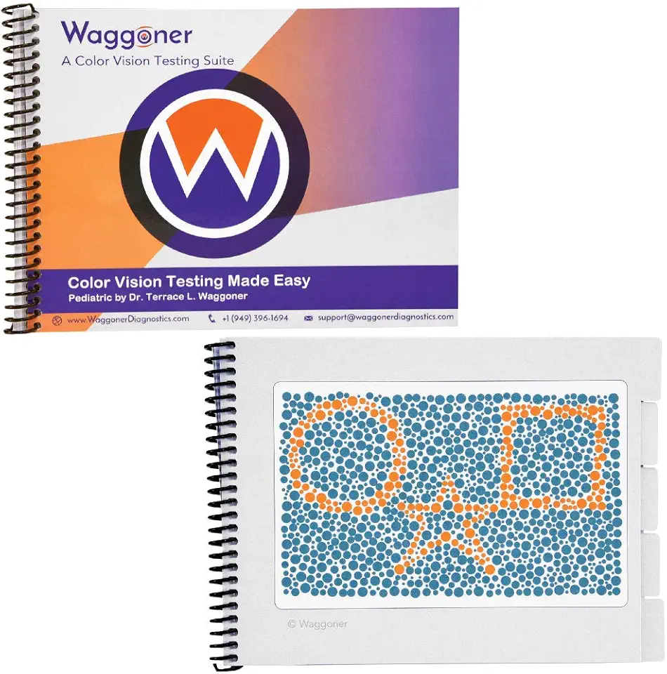 Can Hogs See Color? Exploring Their Sense Of Vision | MedShun