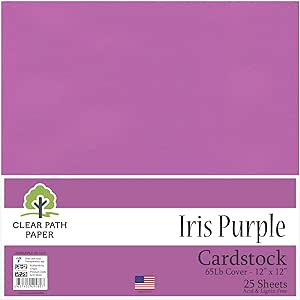 Clear Path Paper Cartoncino Violetto Chiaro - 12 x 12 inch / 30,5 cm x ...