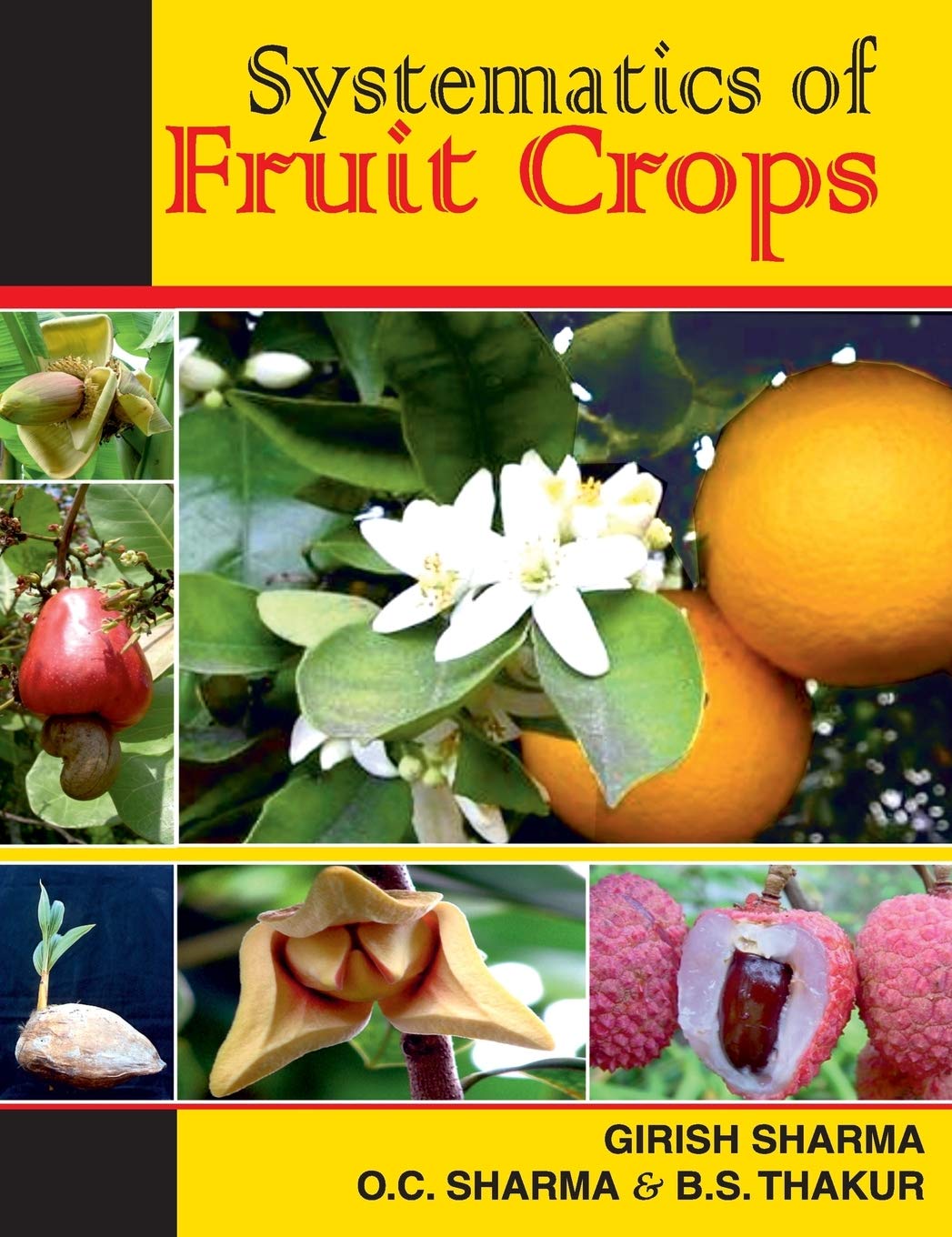 Buy Systematics of Fruit Crops (Fully Illustrated) Book Online at Low ...