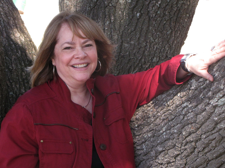 Amazon.com: Allyn M. Stotz: books, biography, latest update