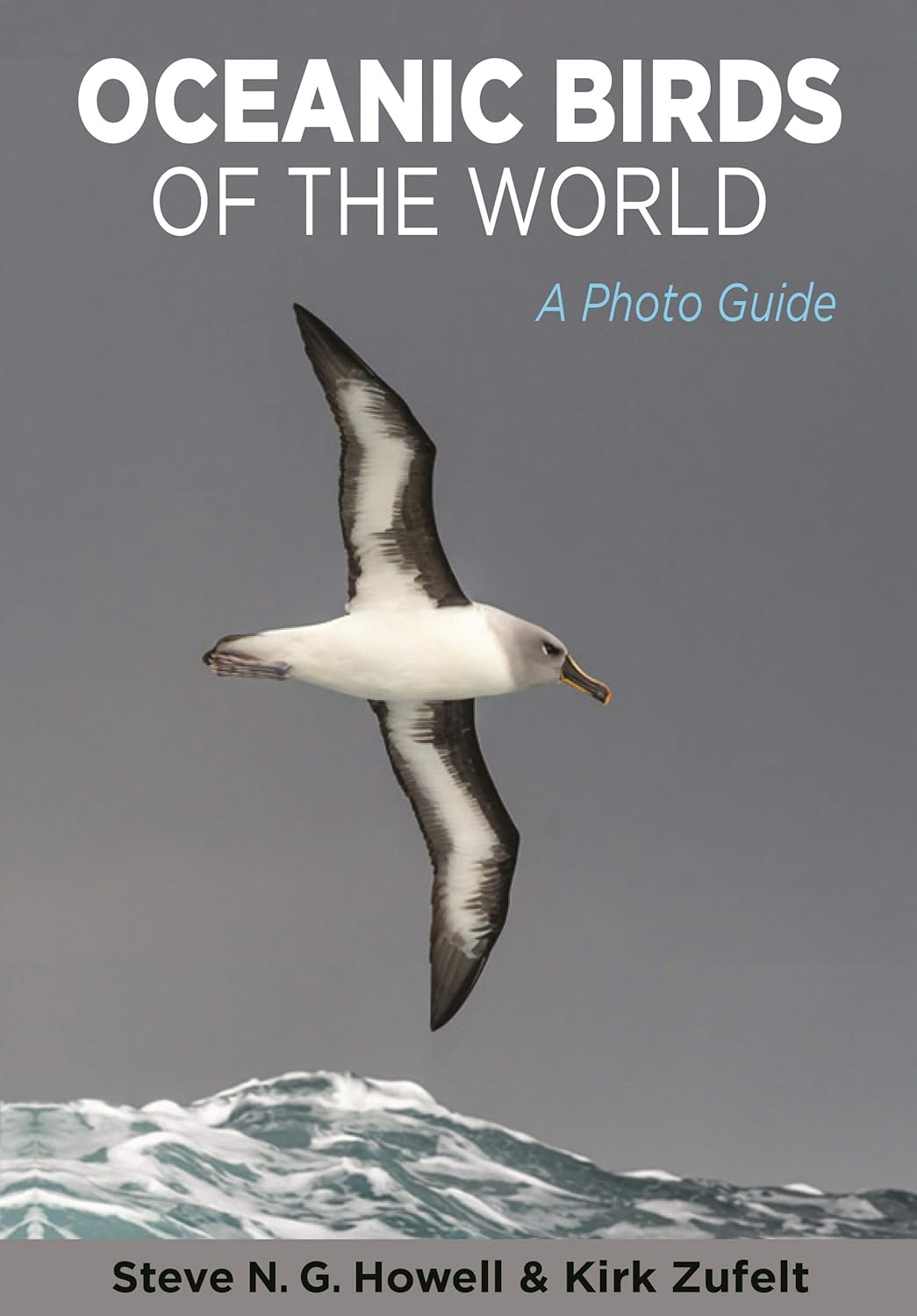 Oceanic Birds of the World: A Photo Guide Illustrated, Howell, Steve N ...