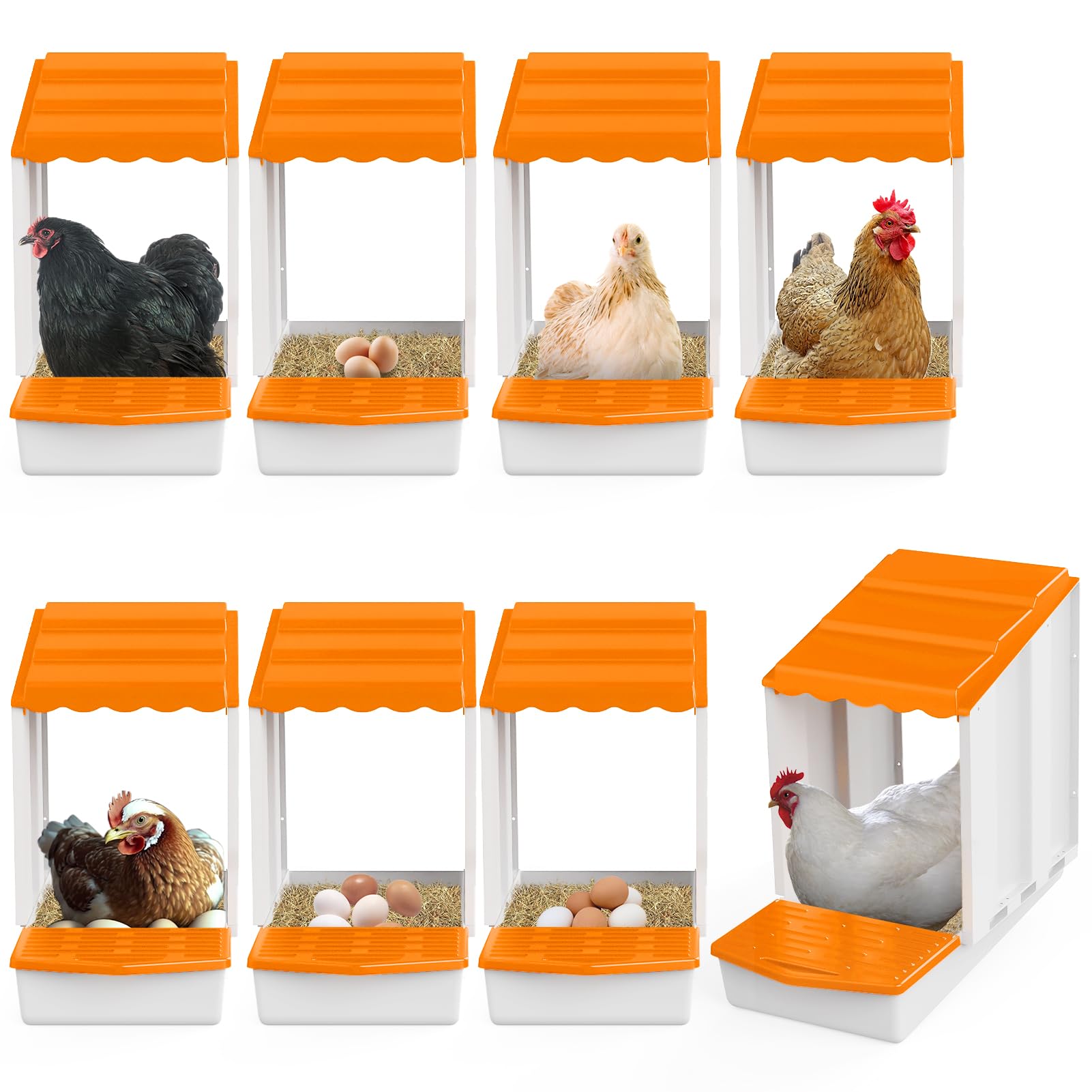 Buy Chicken Nesting Boxes Chicken Laying Boxes with Perch Roll Out ...