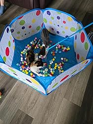 Amazon.com: Mity rain Cat Ball Pit with Balls Included, Cat Interactive ...