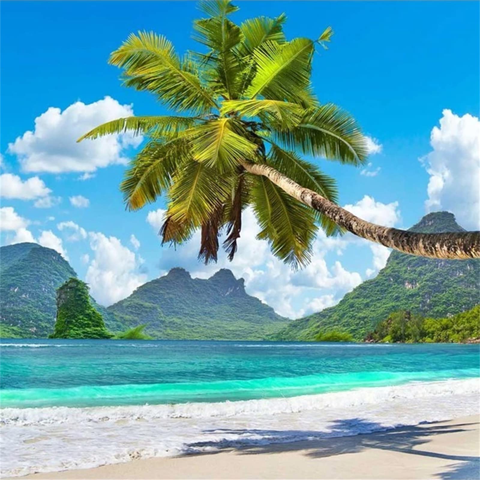 Coconut Wallpaper Background Stock Photo Of Sea Coconut (Lodoicea