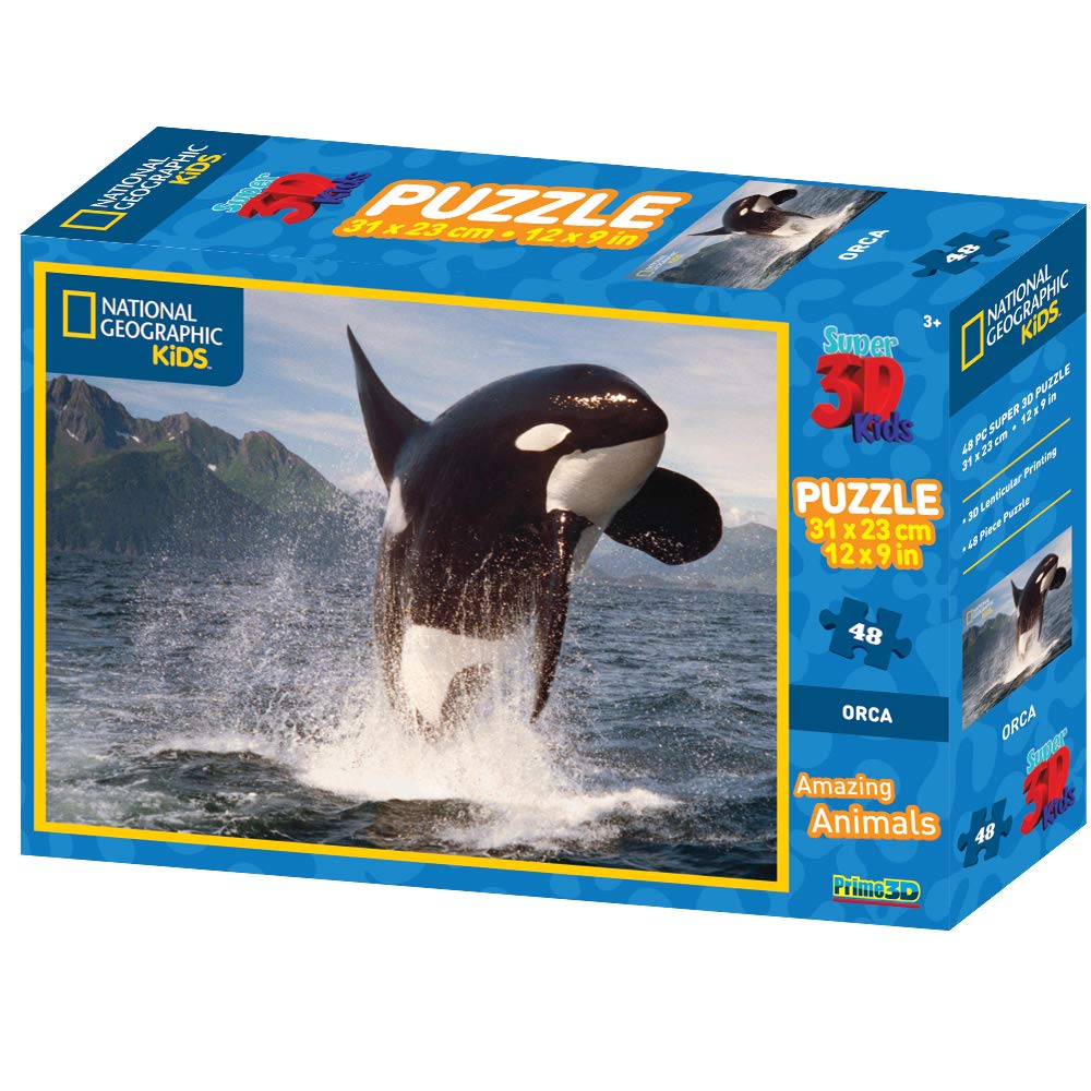 Killer Whale National Geographic Country Diary: Nothing Beats The