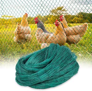 Amazon.com : Bird Netting for Chicken Coop, Poultry Netting Over ...