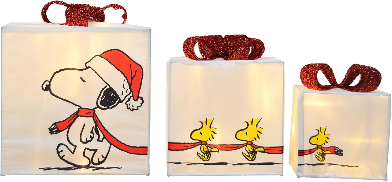 Amazon.com: Peanuts Indoor Outdoor Presents Holiday Lighted DÉCOR ...