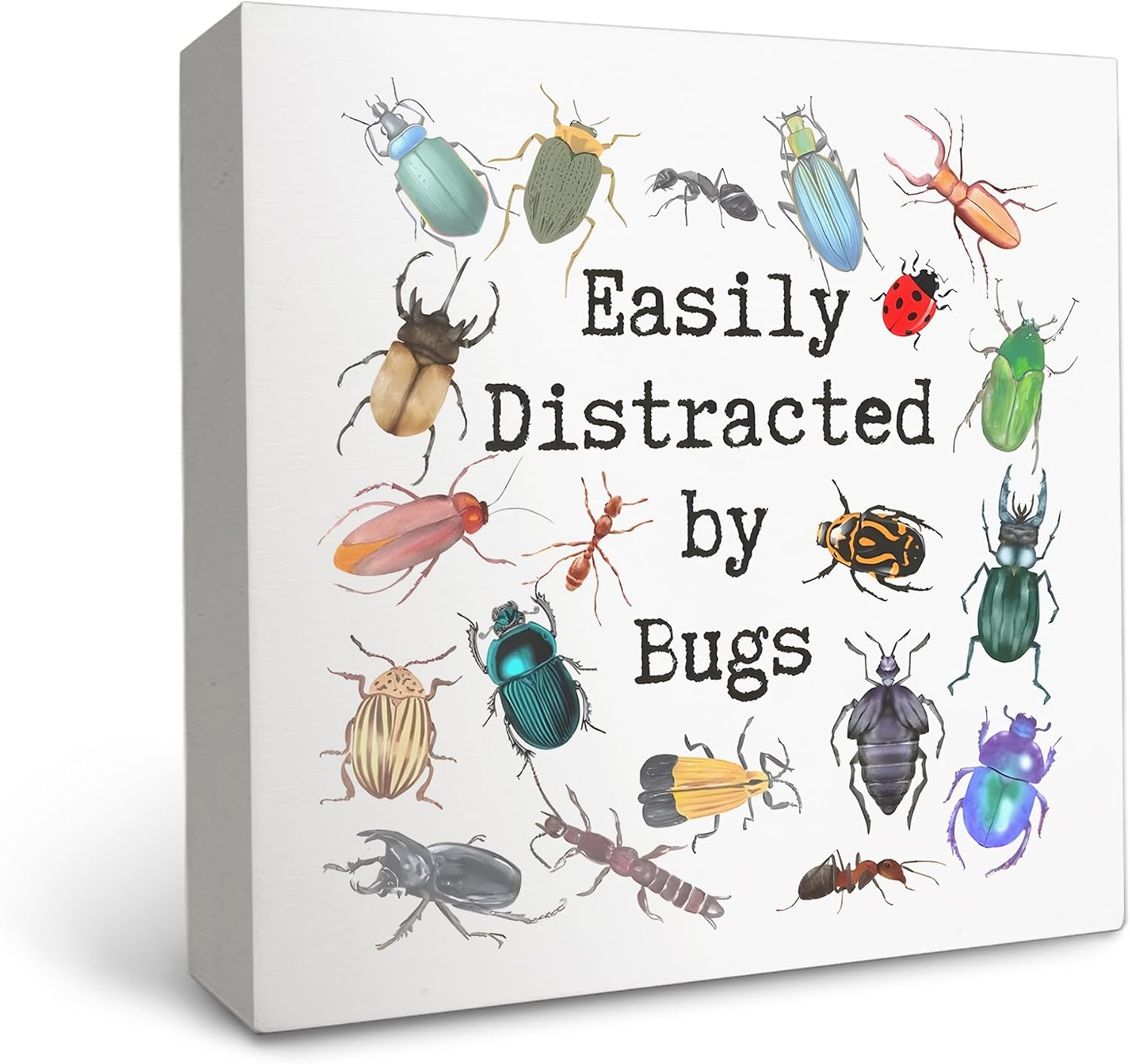 Amazon.com: OLich Bug Decor - Distracted by Bugs Wood Signs Desk Decor ...