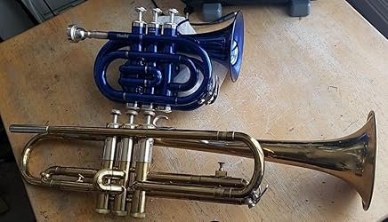 Amazon.com: Mendini by Cecilio MPT Brass Bb Pocket Trumpet + Tuner ...