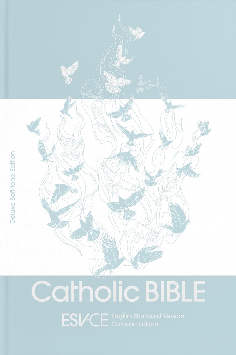 Amazon | ESV-CE Catholic Bible. The Official Liturgical Bible for ...