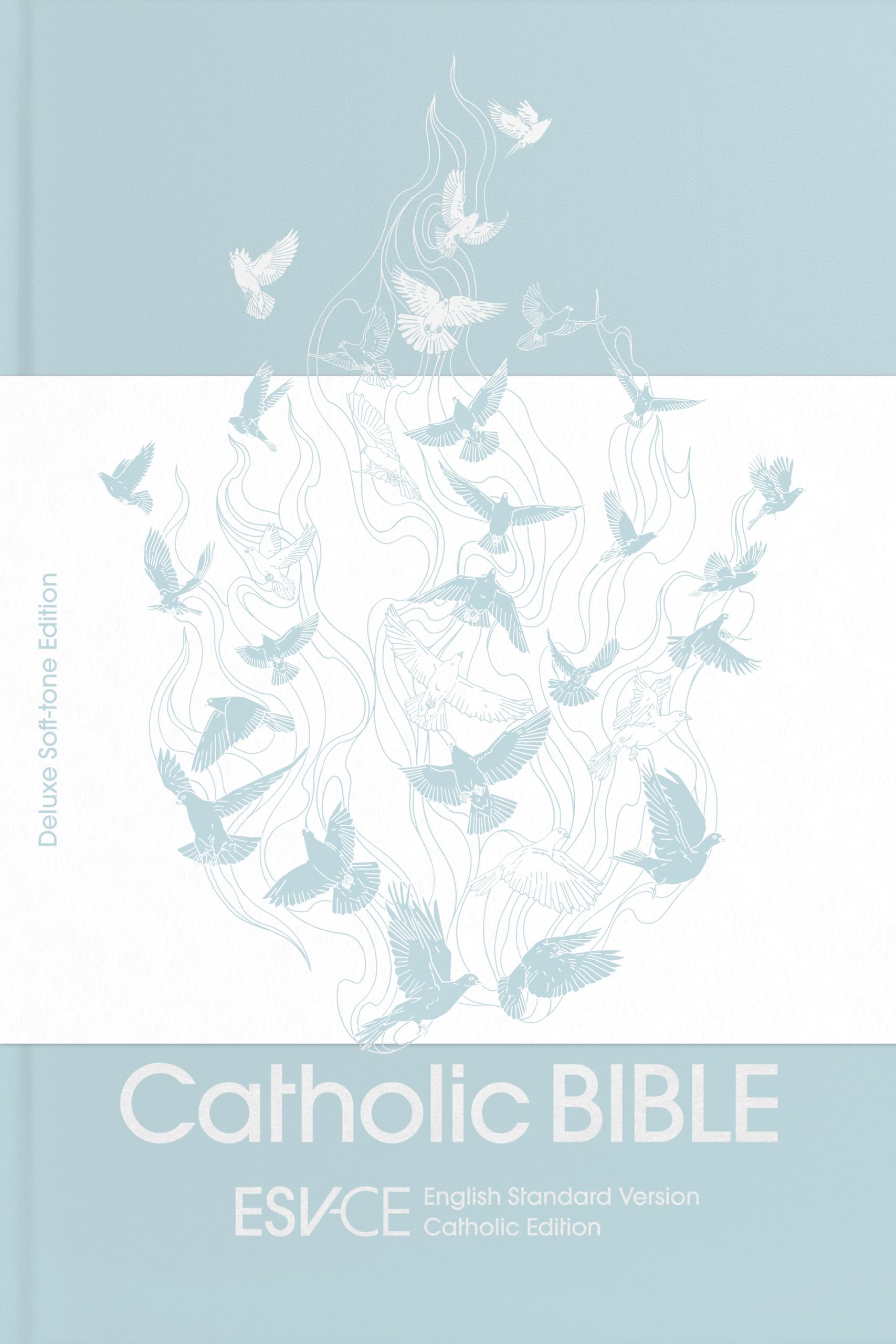 ESV-CE Catholic Bible, Anglicized Deluxe Soft-tone Edition: English ...