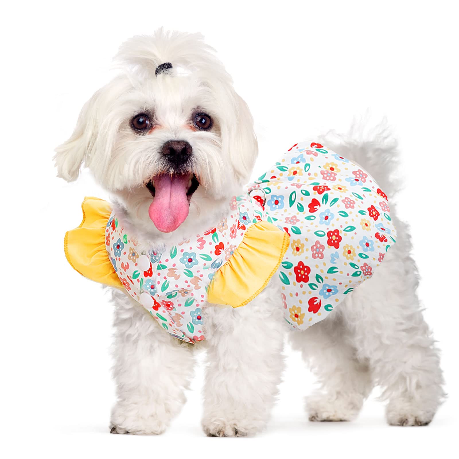 Amazon.com : ABRRLO Small Dog Dress Summer Pet Dog Clothes for Small ...
