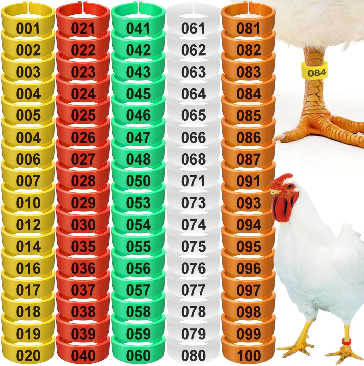 Amazon.com: Hispqser 16mm 100 Pcs Chicken Leg Bands, Poultry ...