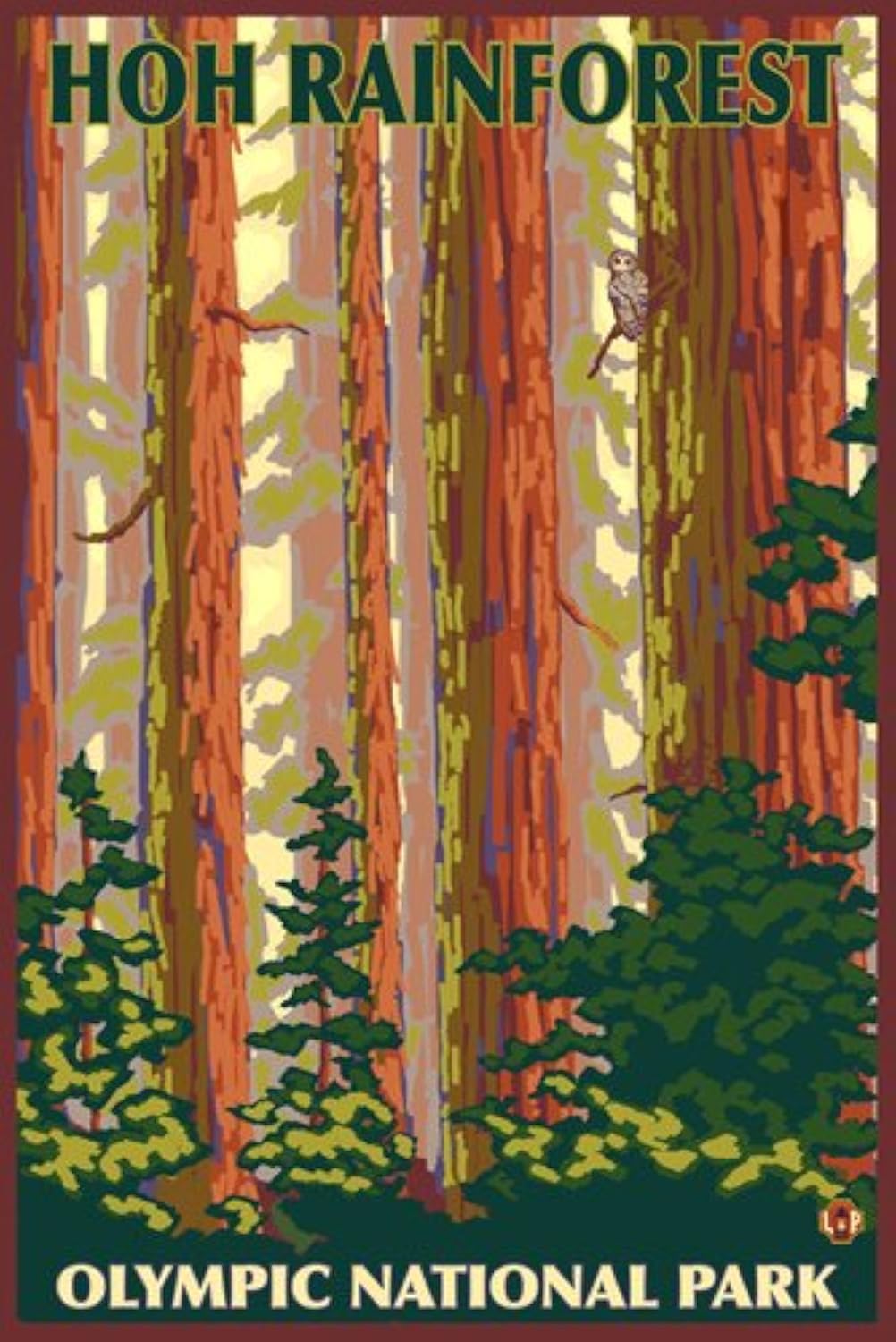 Amazon.com: HOH Rainforest Poster Art Bumper Sticker (Olympic National ...