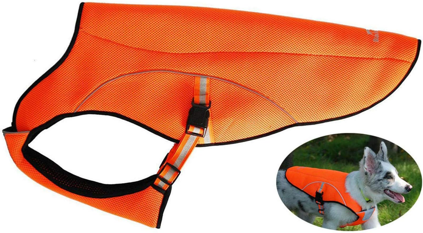 Amazon.com : Illumiseen LED Dog Hunting Vest | Orange Safety Jacket ...