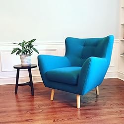 Amazon.com: Amazon Brand – Rivet Isabelle Mid-Century Modern Loveseat ...