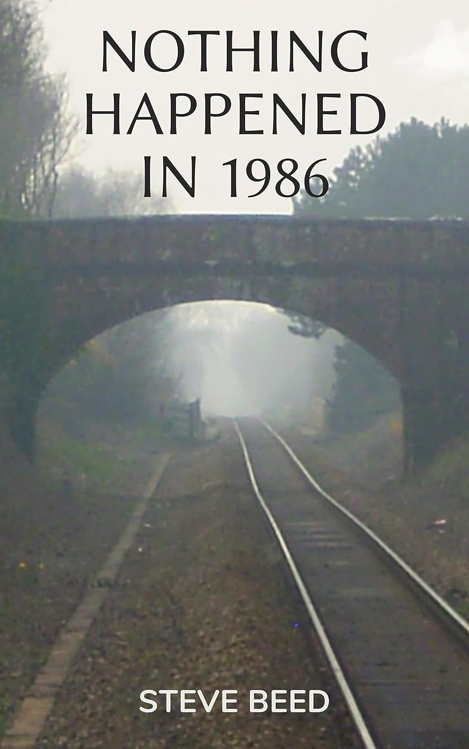 Nothing Happened in 1986 eBook : Beed, Steve: Amazon.in: Books