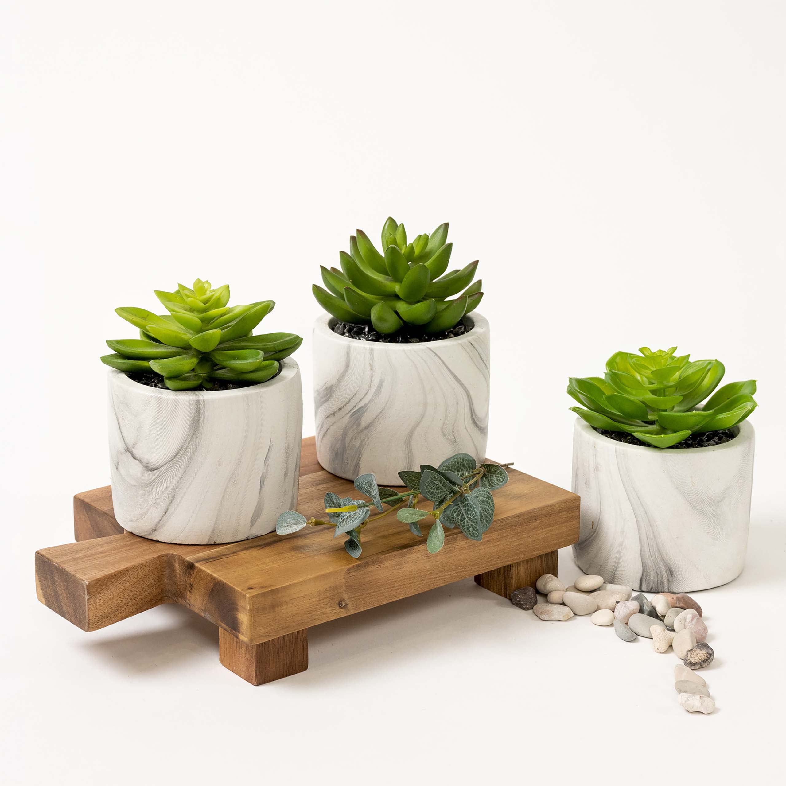 Kurrajong Farmhouse Wood Riser Small Acacia Wood Pedestal Stand Wooden ...