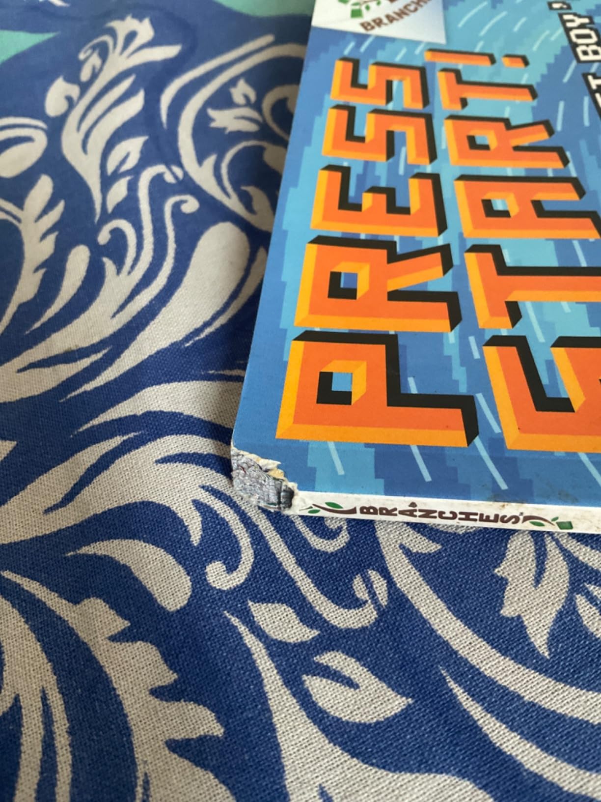 Super Rabbit Boy’s Time Jump!: A Branches Book (Press Start! #9) eBook ...