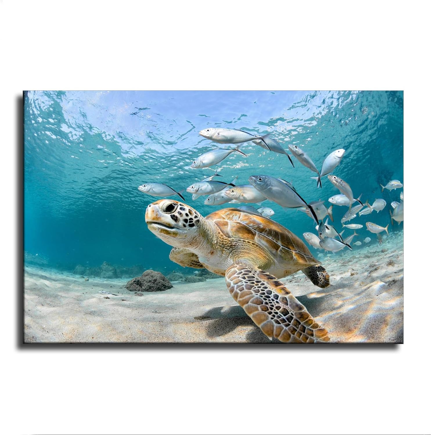Amazon.com: Sea Turtle Poster Canvas Painting Poster Modern Canvas Wall ...