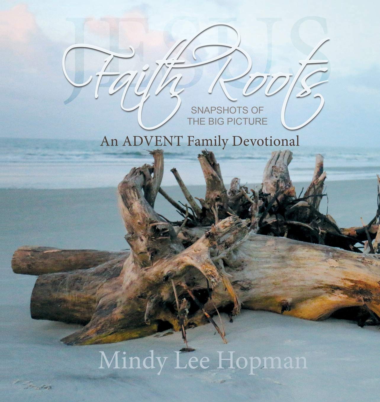 Faith Roots: An Advent Family Devotional: Hopman, Mindy Lee ...
