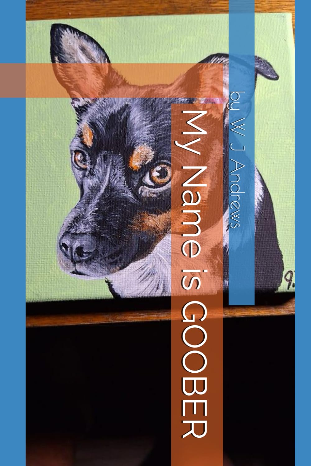 Amazon.com: My Name is GOOBER: 9798328031219: Andrews, Goober: Books