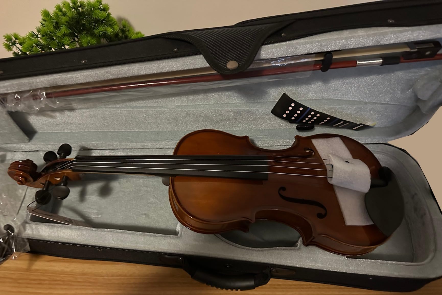 $20/mo - Finance Fesley Violin 4/4 Full Set, Matt Fiddle Violins for ...