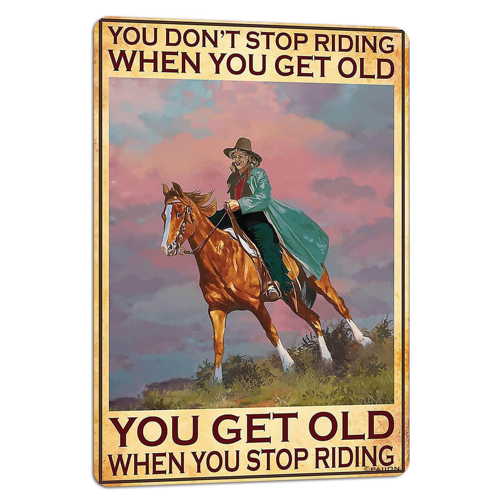 Amazon.com: PAIION Metal Vintage Sign Cowgirl Riding Horse You Don't ...