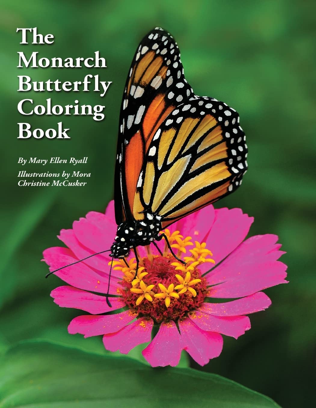 Amazon.com: The Monarch Butterfly Coloring Book 2013: 9781481952057 ...