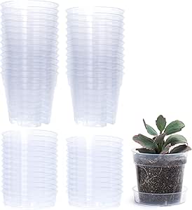 Amazon.com : 4 Inch Clear Plastic Plant Pot with Drainage Holes ...