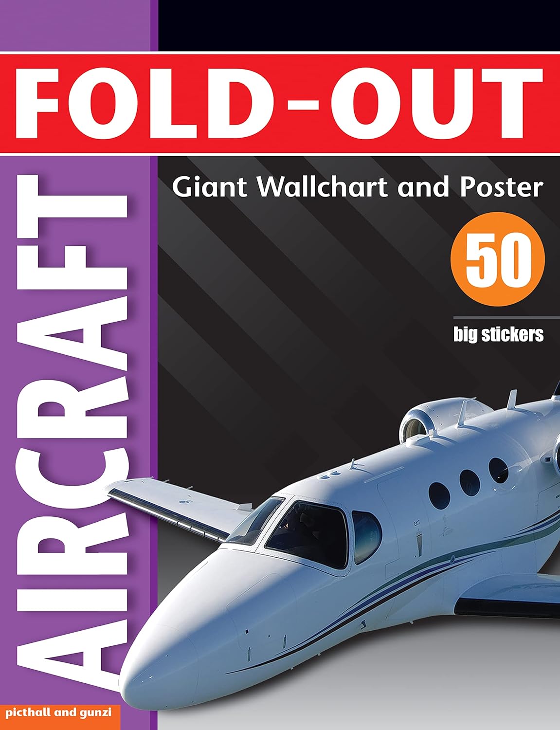 Fold-out Aircraft Sticker Book (Plus poster) (Fold-out Poster Sticker ...