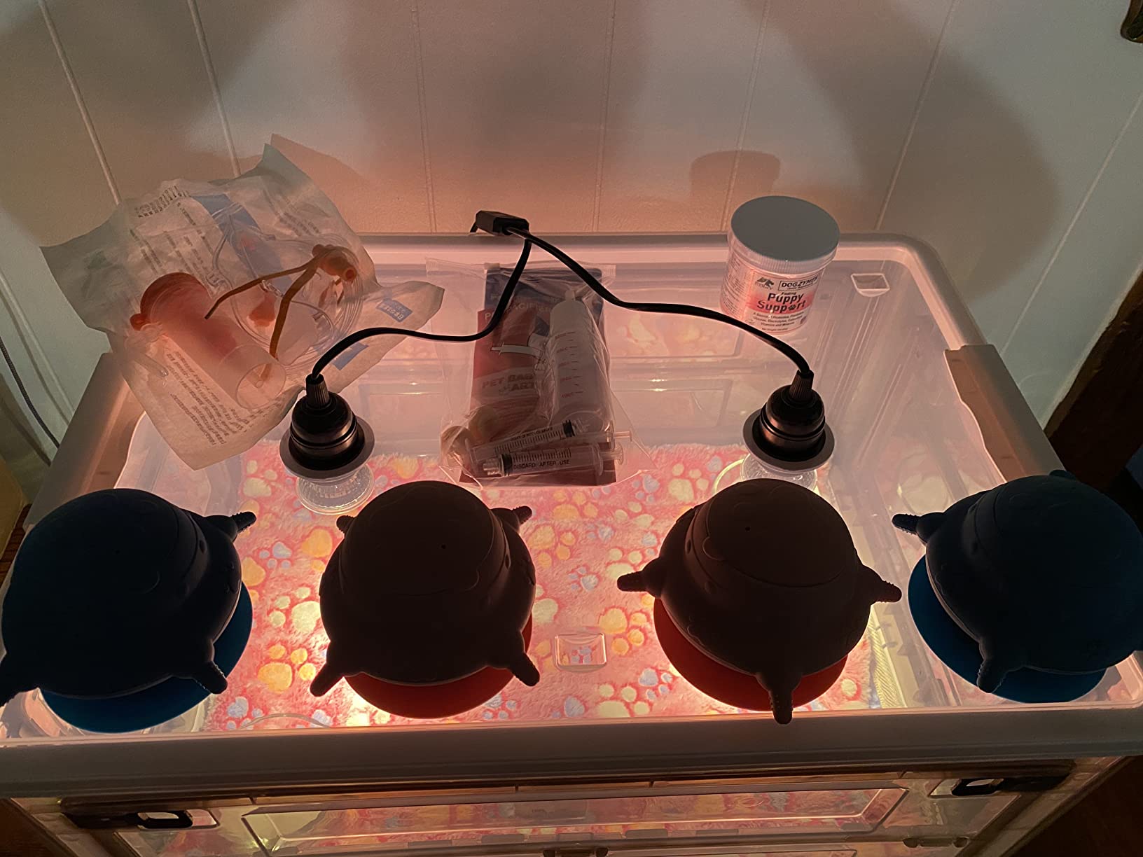 $22/mo - Finance HKDQ Puppy Incubator with Heating - Puppy Incubator ...