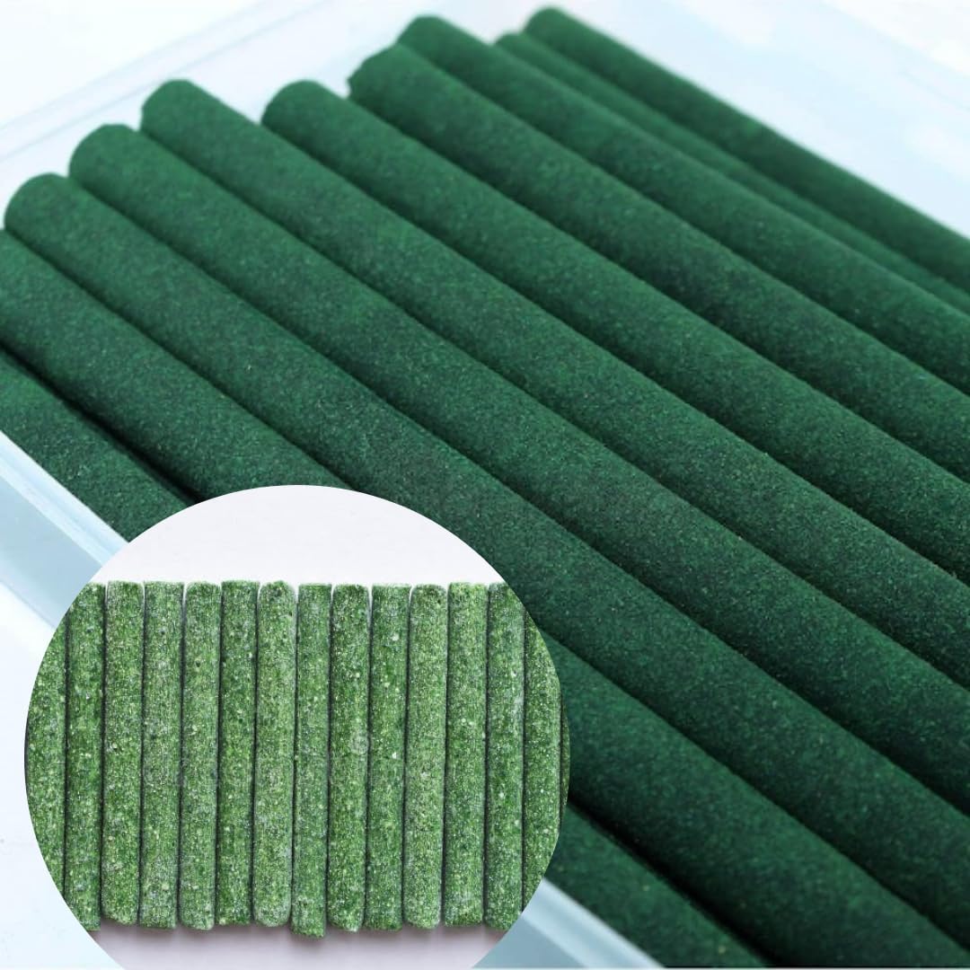 Plant Fertilizer Sticks | Plant Food for Indoor & Outdoor Home Garden ...