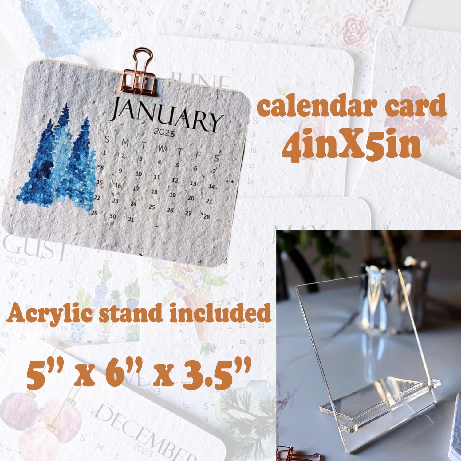 Snapklik.com : 2025 Plantable Seed Calendar Perfect Modern Greening ...