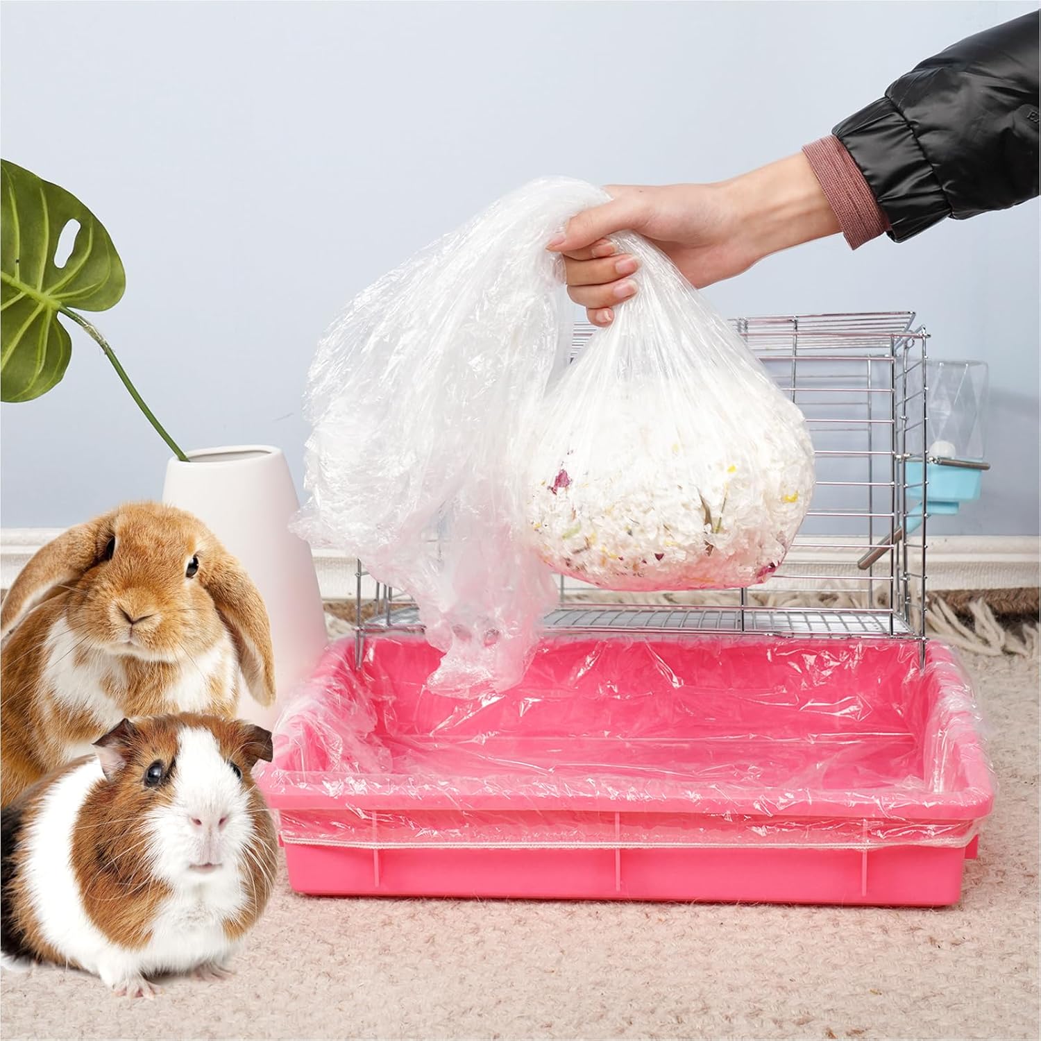 Amazon.com : 30 PCS Disposable Guinea Pig Cage Liner, Clear Plastic ...