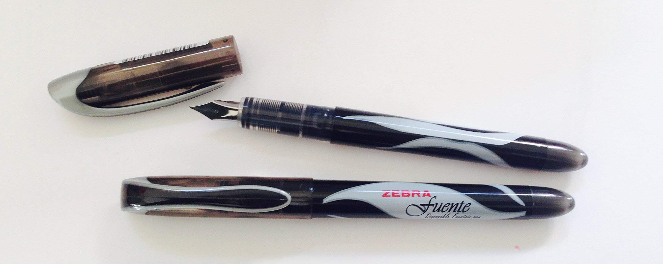 Zebra Fuente - Disposable Fountain Pen - Black Ink - Pack of 3 : Amazon ...