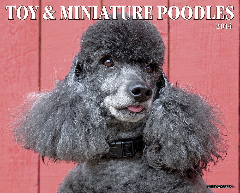 Just Toy & Miniature Poodles 2014 Wall Calendar: Willow Creek Press ...