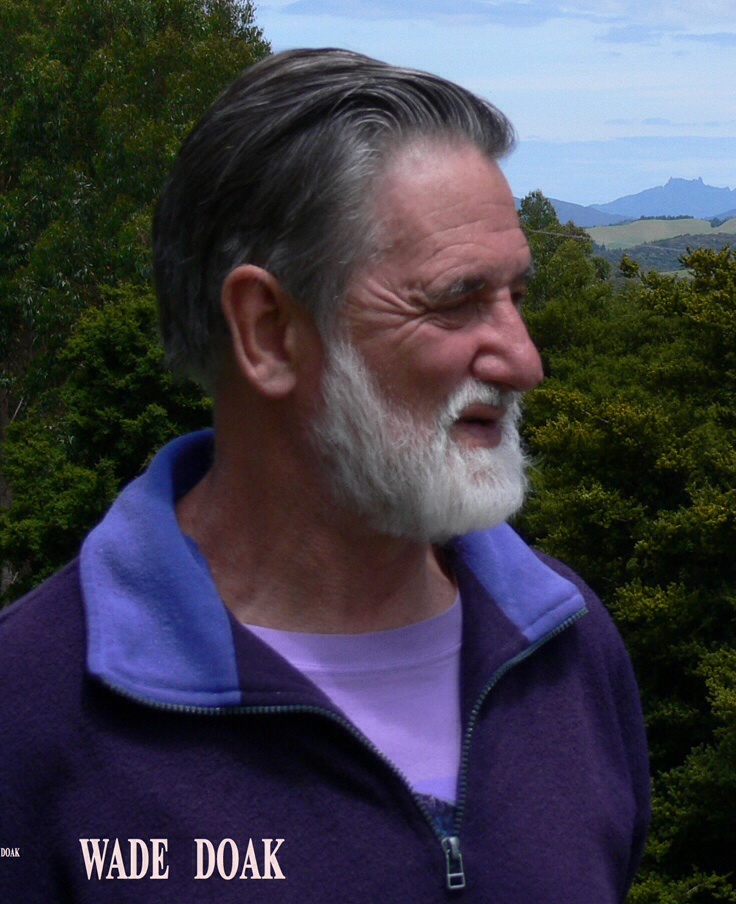 Amazon.co.uk: Wade Doak: books, biography, latest update