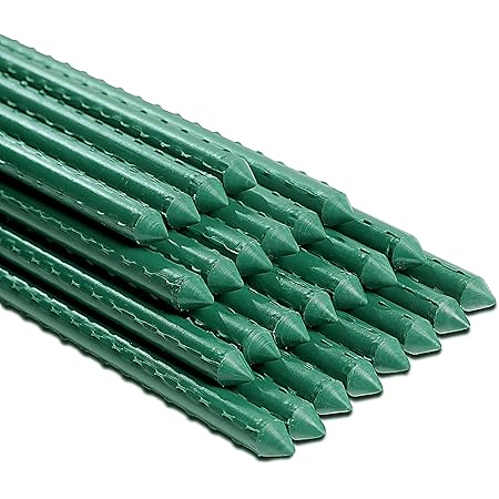 Amazon.com : 60" Miracle Tree Tube (50) : Patio, Lawn & Garden