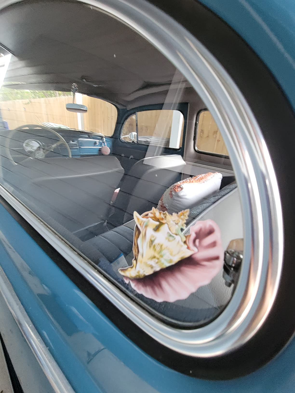 Amazon.com: GT Graphics Express Conch Shell - Vinyl Sticker Waterproof ...