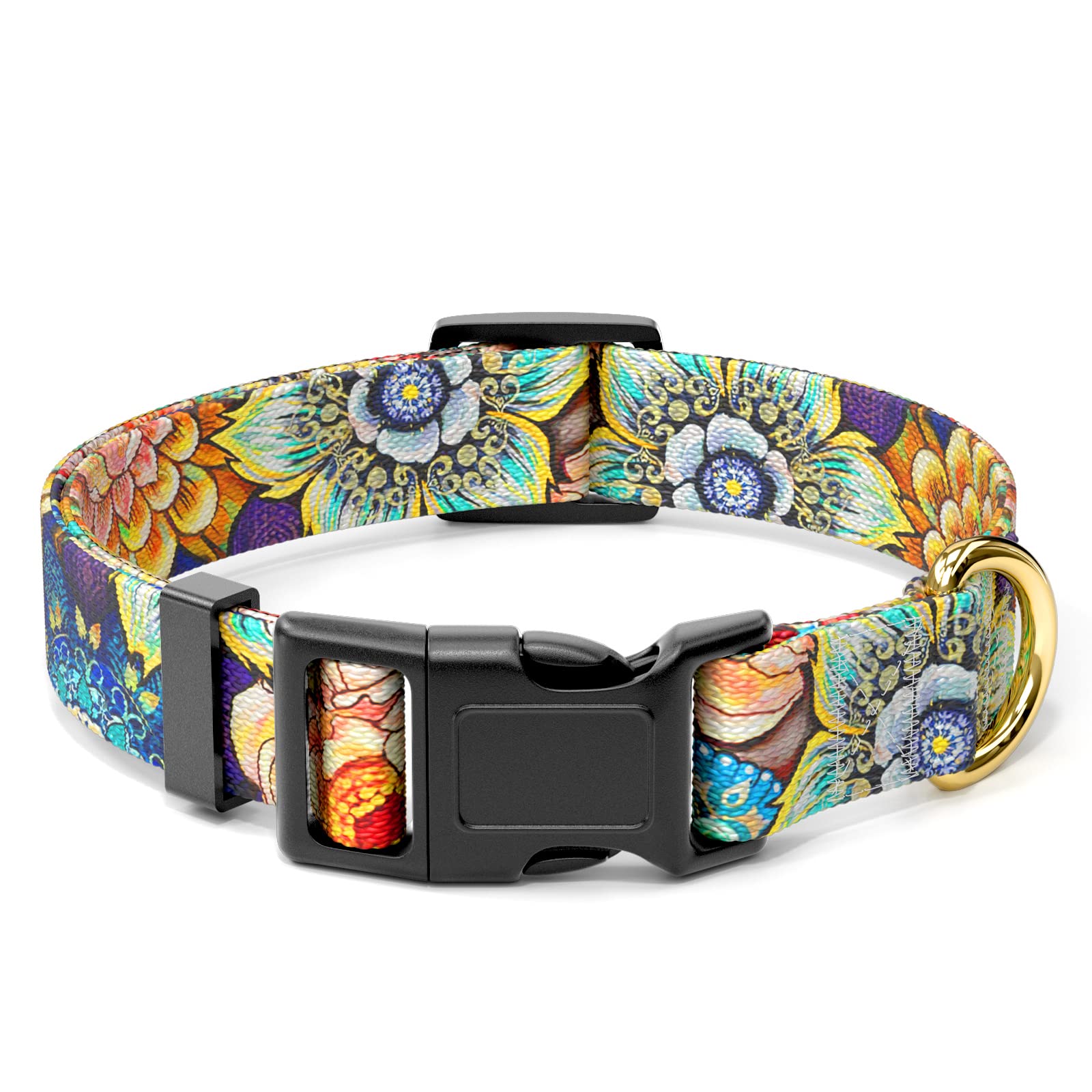 Amazon.com : Rnivvi Dog Collar, Personalized Adjustable Dog Collar for ...